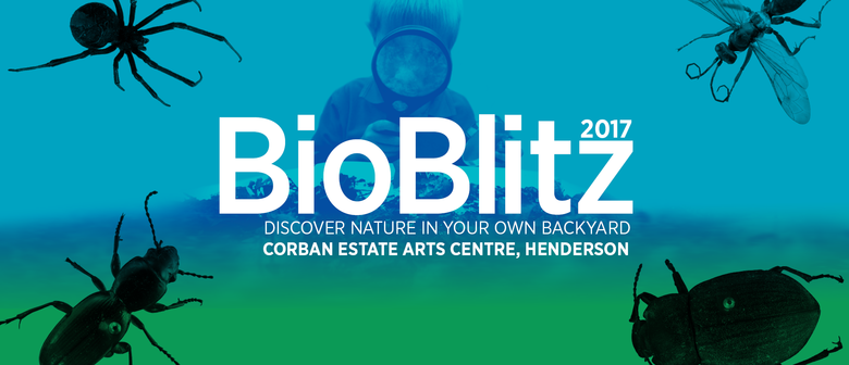 BioBlitz på Hyby Fælled - Fredericia